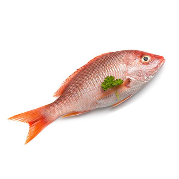 PARGO ROJO ENTERO NACIONAL | OCEAN GOURMET